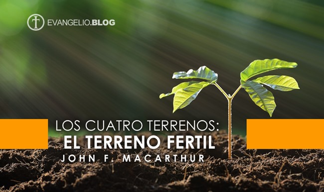 Los Cuatro Terrenos: el Terreno Fértil